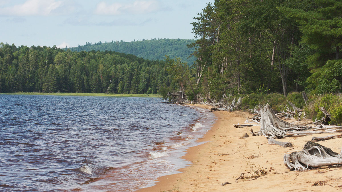 Activités – Réserve Beauchene